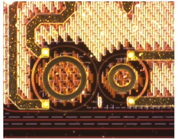 Xanadu | On the Road to Room Temperature Quantum Computation